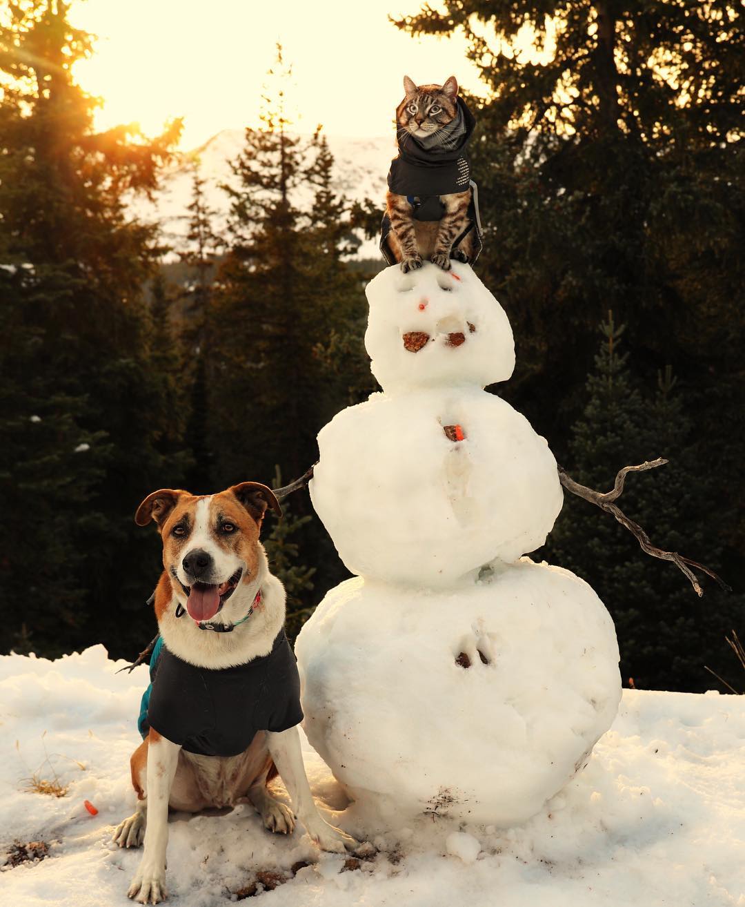 Cutest Pet Duos Travel The World And Pictures Reveal Their Strongest ...