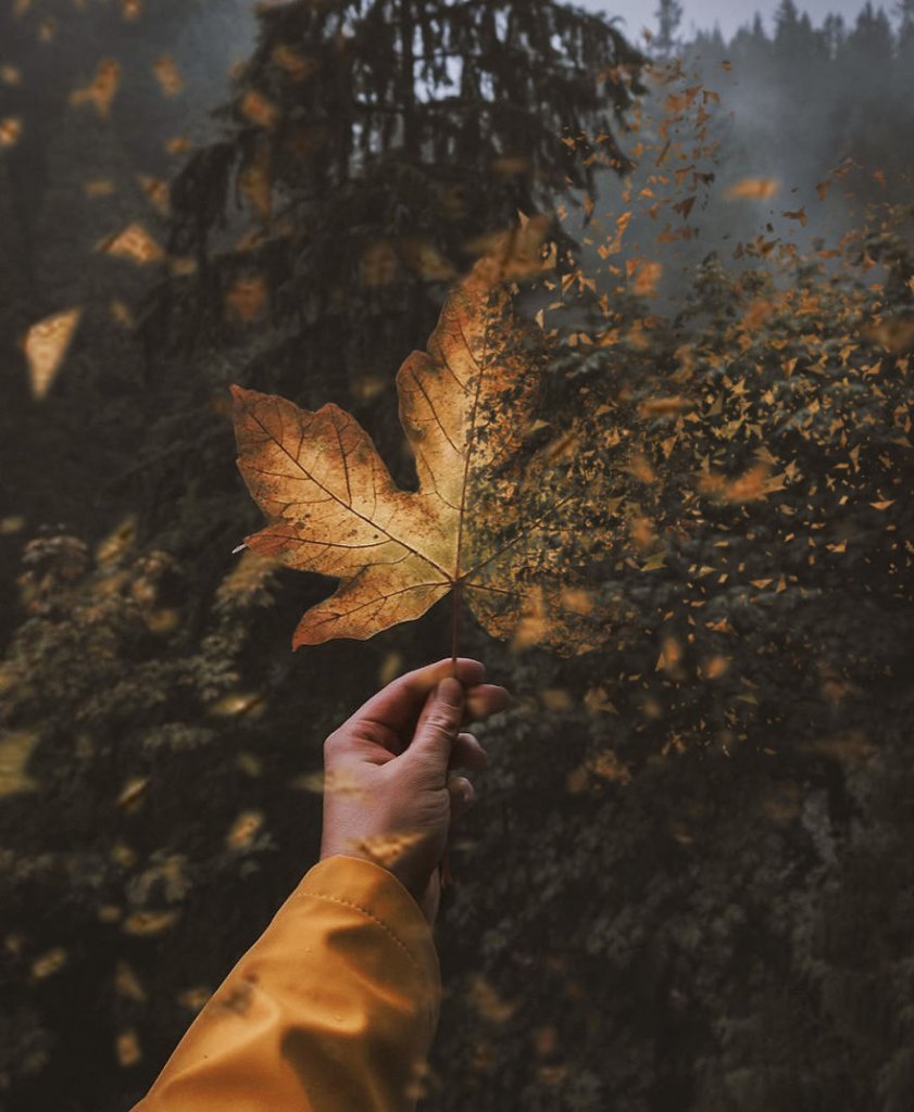 Artist From Turkey Present Surreal Art In The Form Of Stunning ...