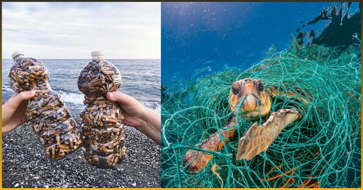 13 Pictures From Around The Globe That Proves How Much We Messed Up Our ...