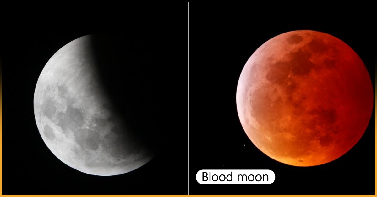 Unbelievable Pictures Of Super Blood Wolf Moon Lunar Eclipse 2019