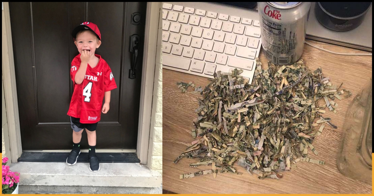 2-year-old Kid Destroyed Parent's Yearly Saving of $1000 Through A Shredder