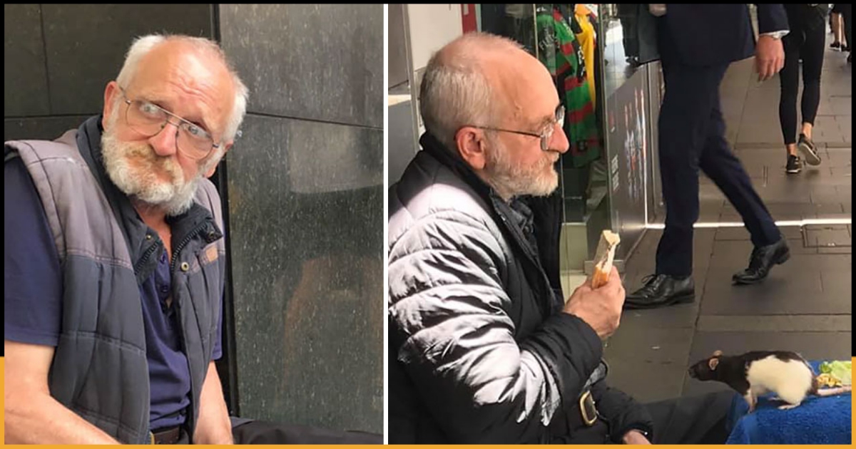 Homeless Man Seeks Help To Find His Stolen Beloved Rat