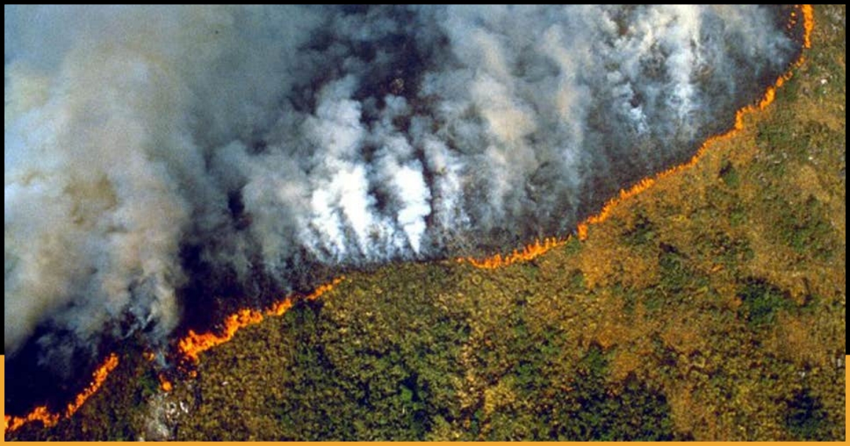Brazil's Amazon Rainforest Is Burning At A Record Rate, And The ...