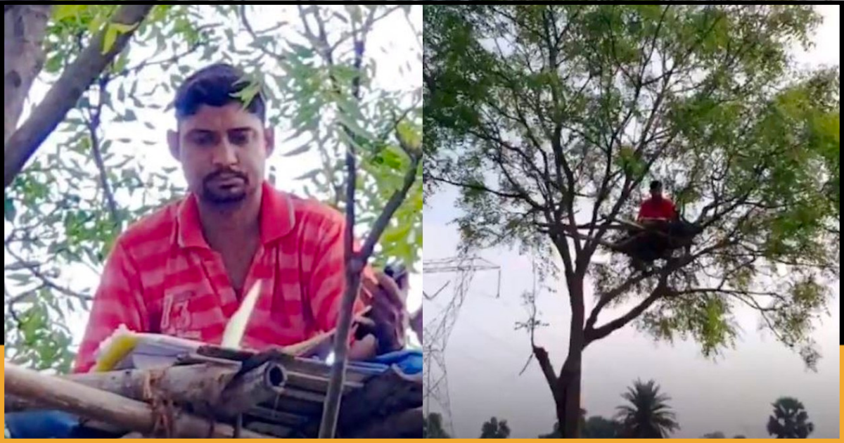 Teacher Climbs Tree For Better Internet Connectivity To Teach His ...