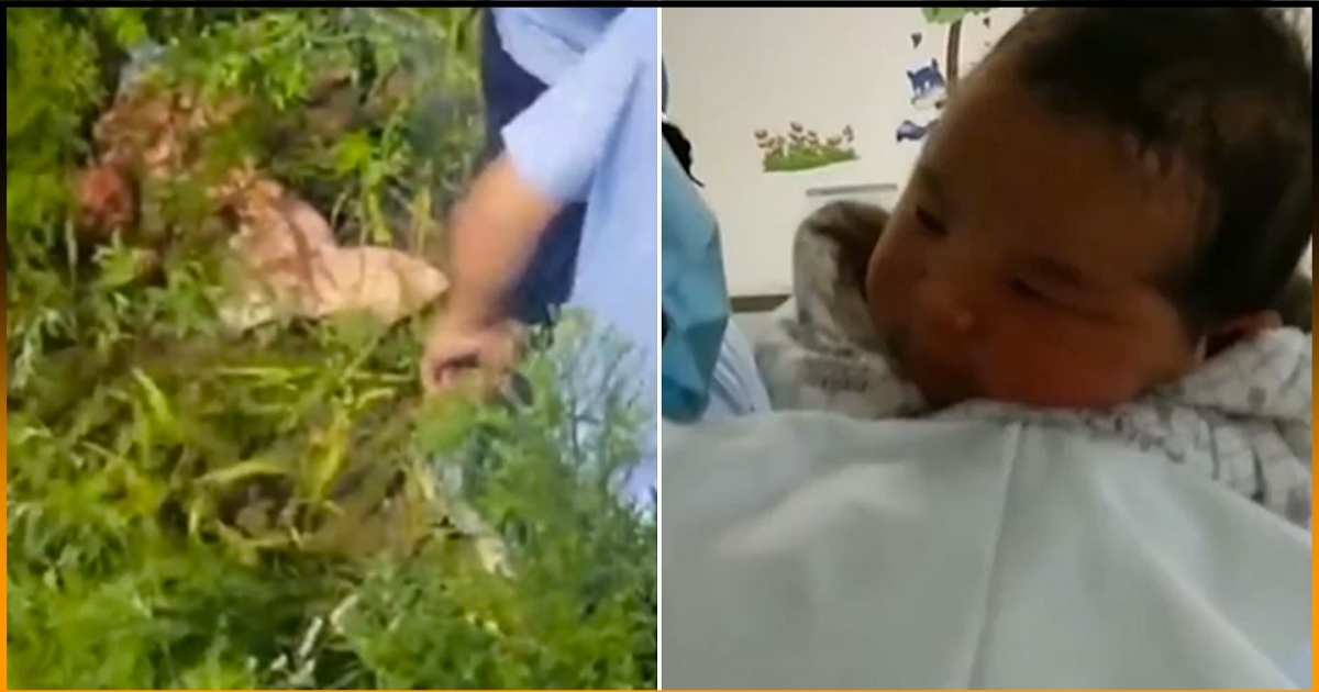 Mother Throws One-Day-Old Baby Into The Bush From The Bridge